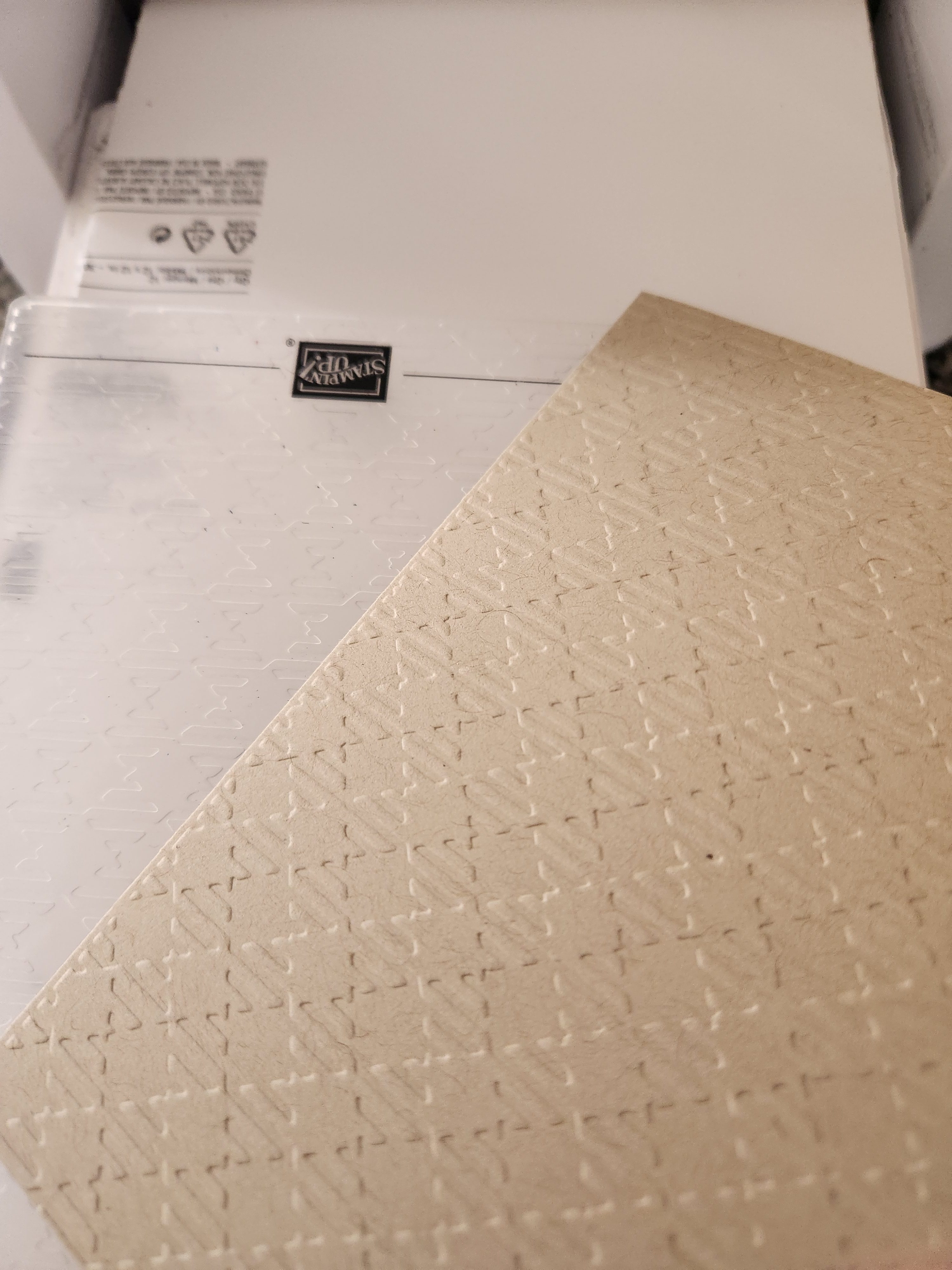 Embossing Both Sides at Once – Stamping With Joni and the Red Door Crafters