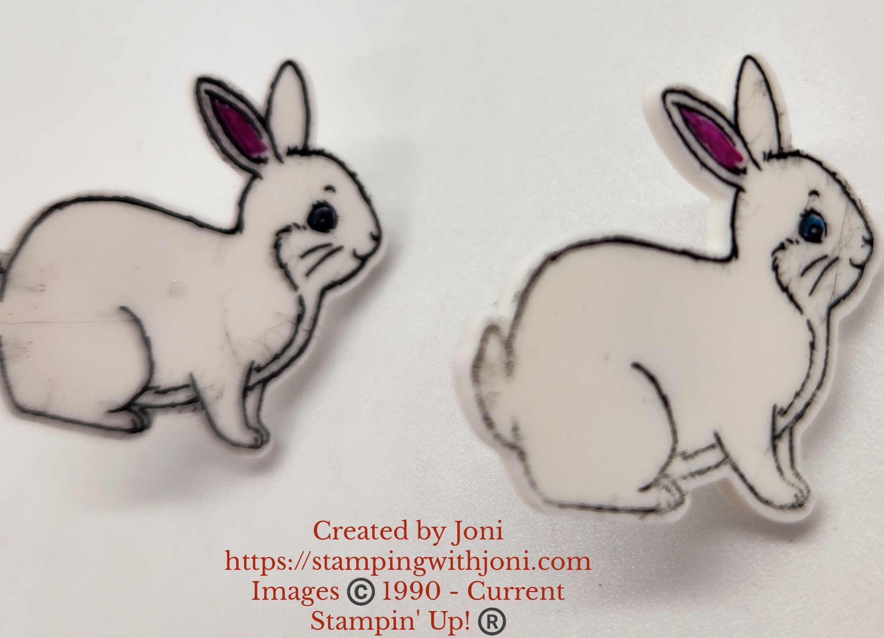 DIY Kits – Stamping With Joni and the Red Door Crafters